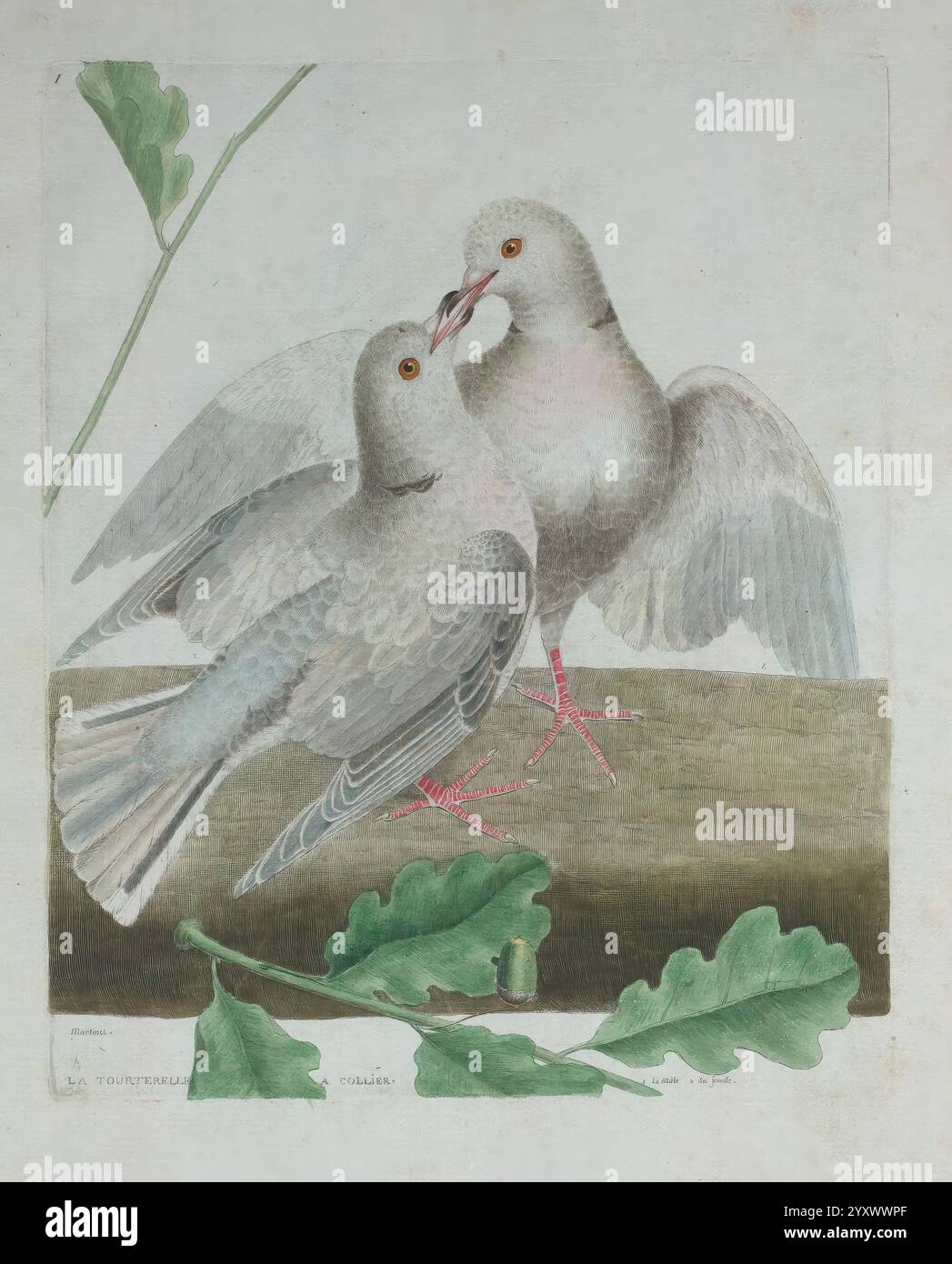 Gentle interactions hinting hi-res stock photography and images - Alamy