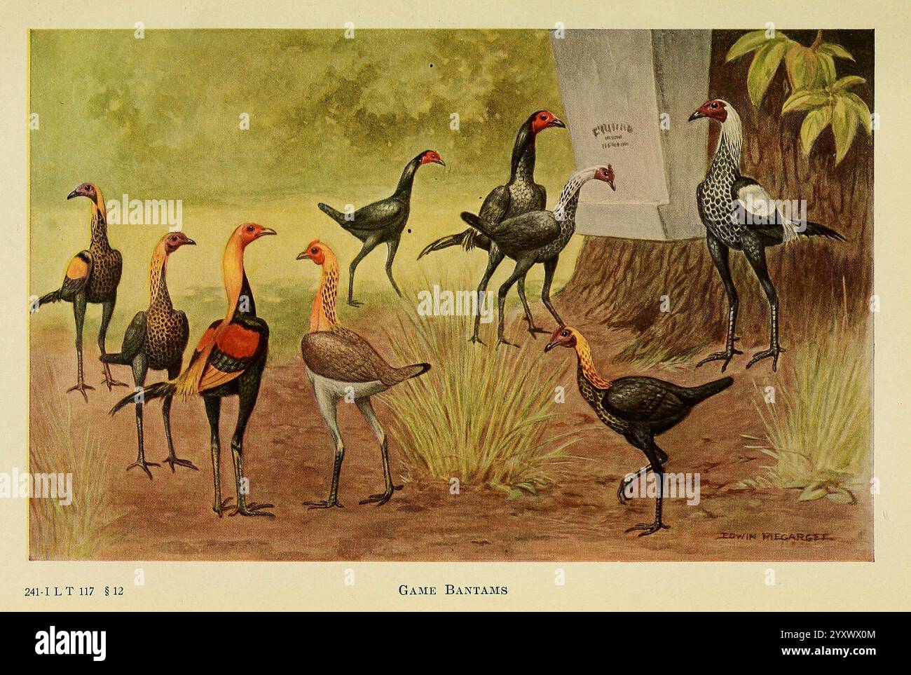 Engage in various interactions hi-res stock photography and images - Alamy