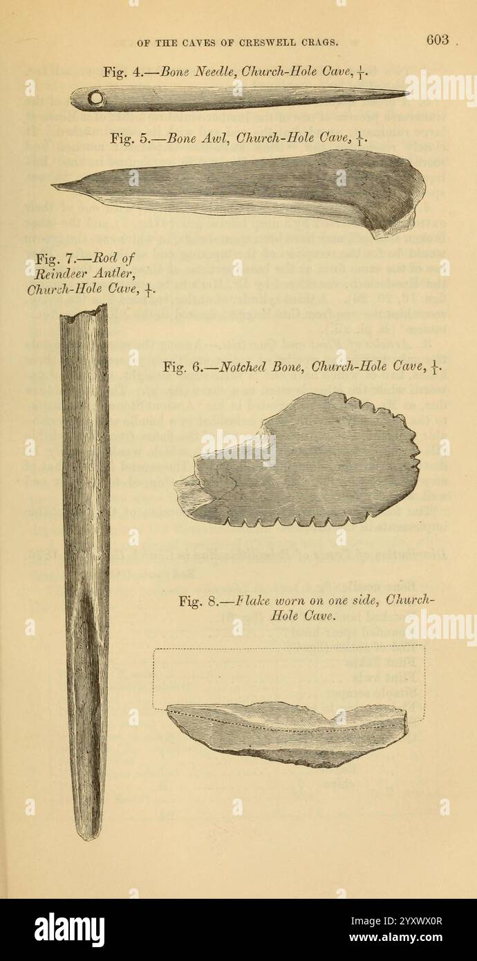 Various prehistoric tools hi-res stock photography and images - Alamy