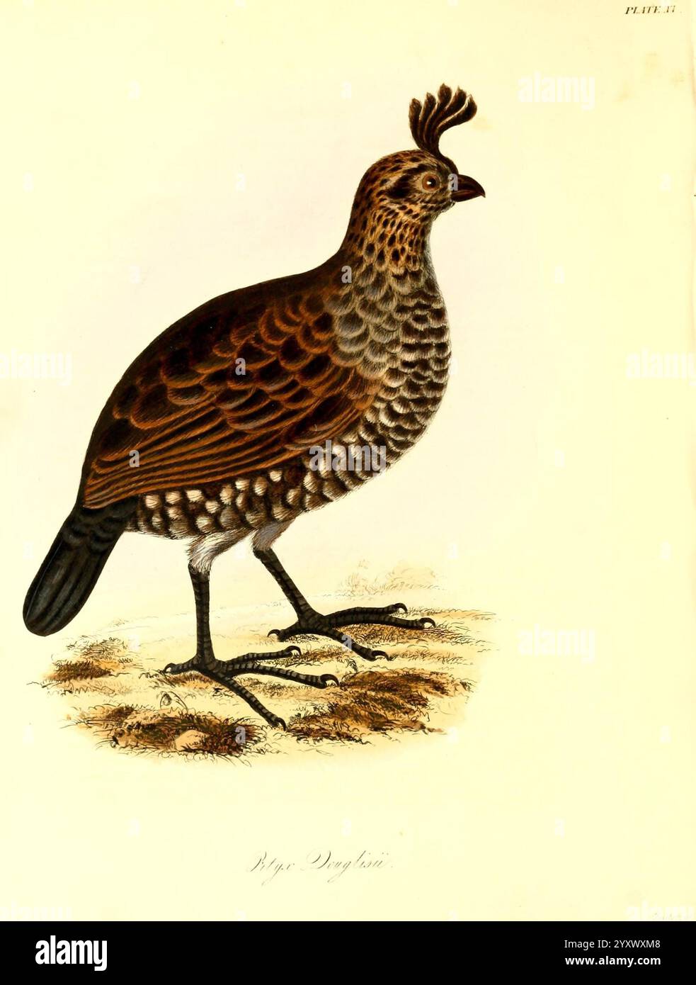 Navigate diverse terrains hi-res stock photography and images - Alamy