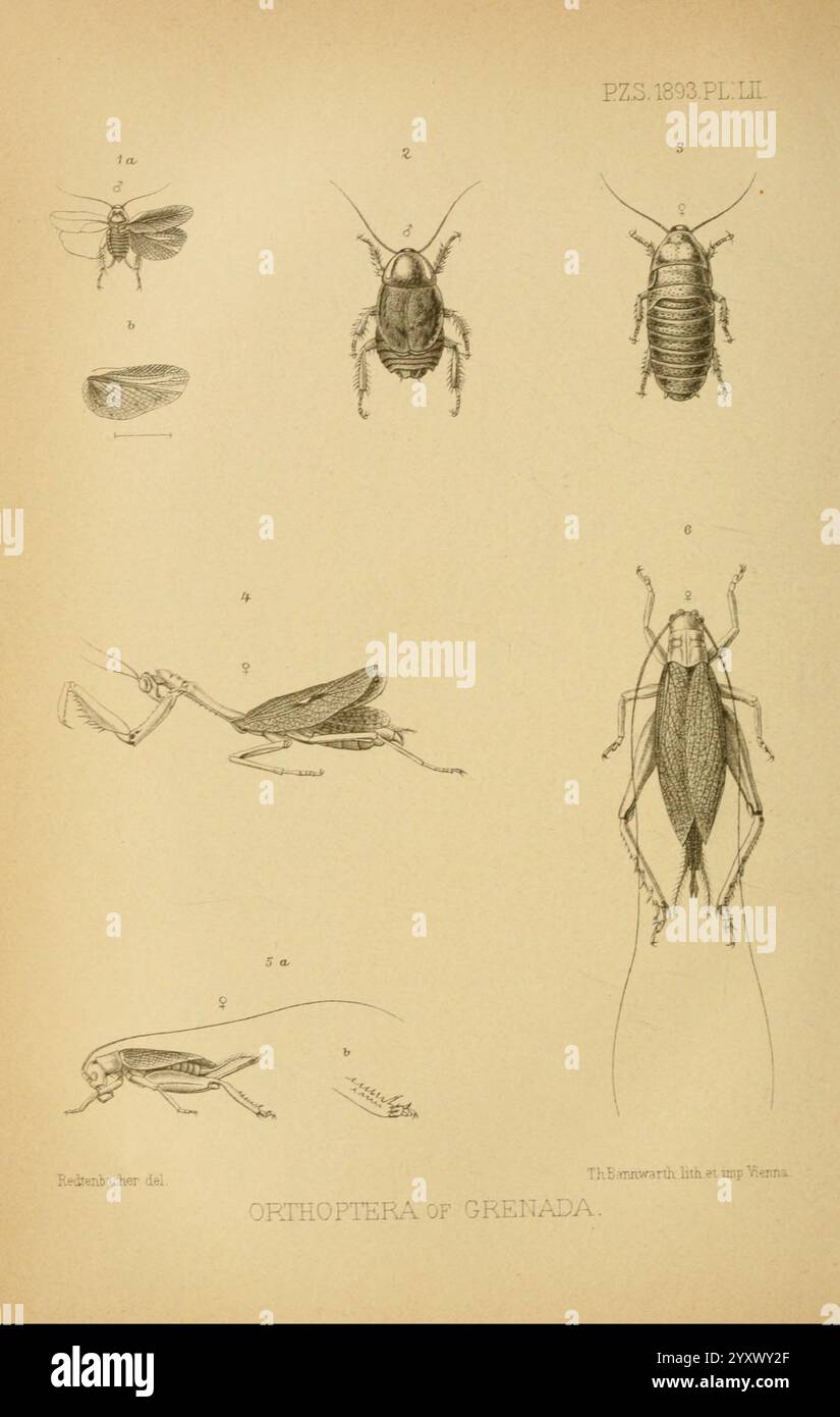 Numeric identifiers hi-res stock photography and images - Alamy