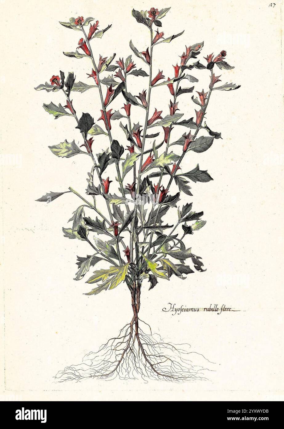 Handwritten label reads hi-res stock photography and images - Alamy