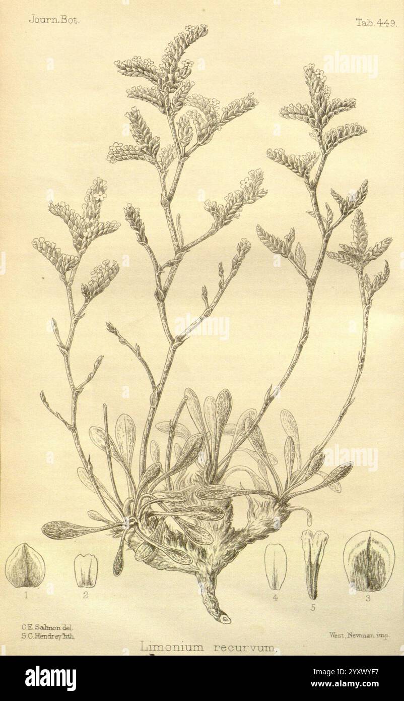 Numbered key indicating hi-res stock photography and images - Alamy