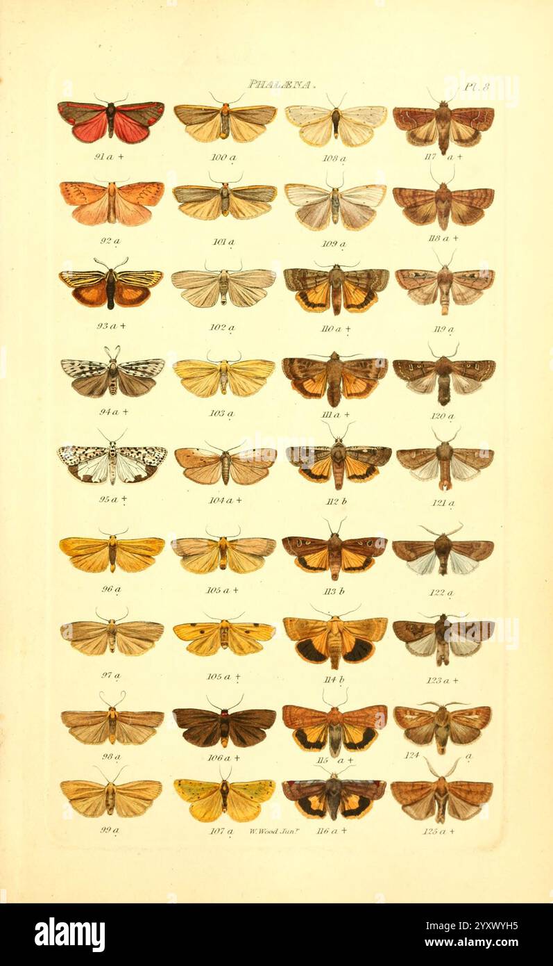 Individual entries hi-res stock photography and images - Alamy