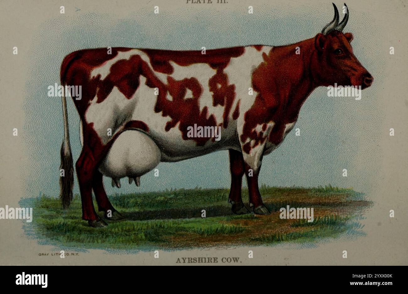 Well defined physique hi-res stock photography and images - Alamy