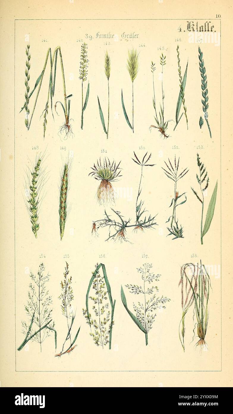 Revealing differences hi-res stock photography and images - Alamy