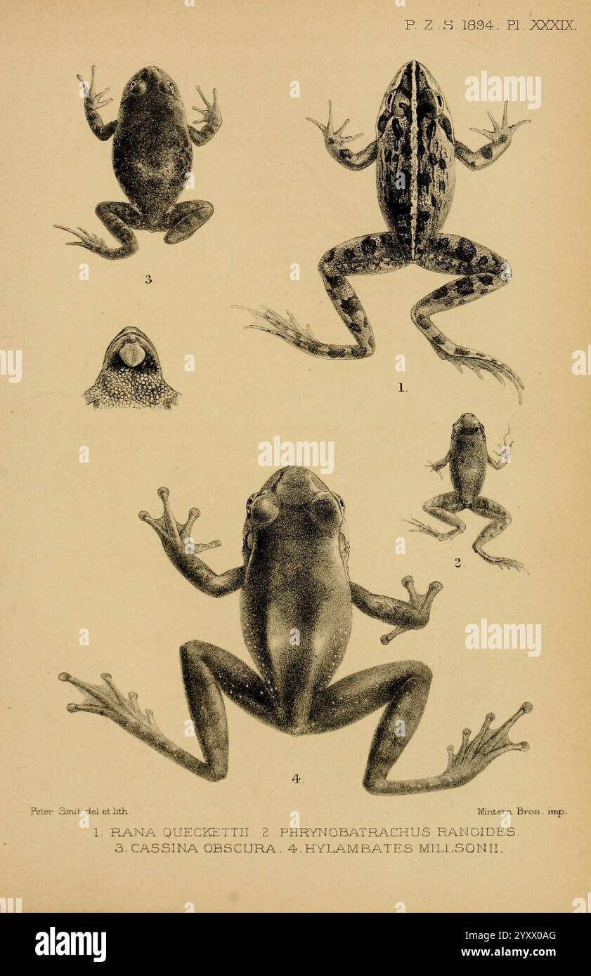 Proceedings of the Zoological Society of London, London, Academic Press ...