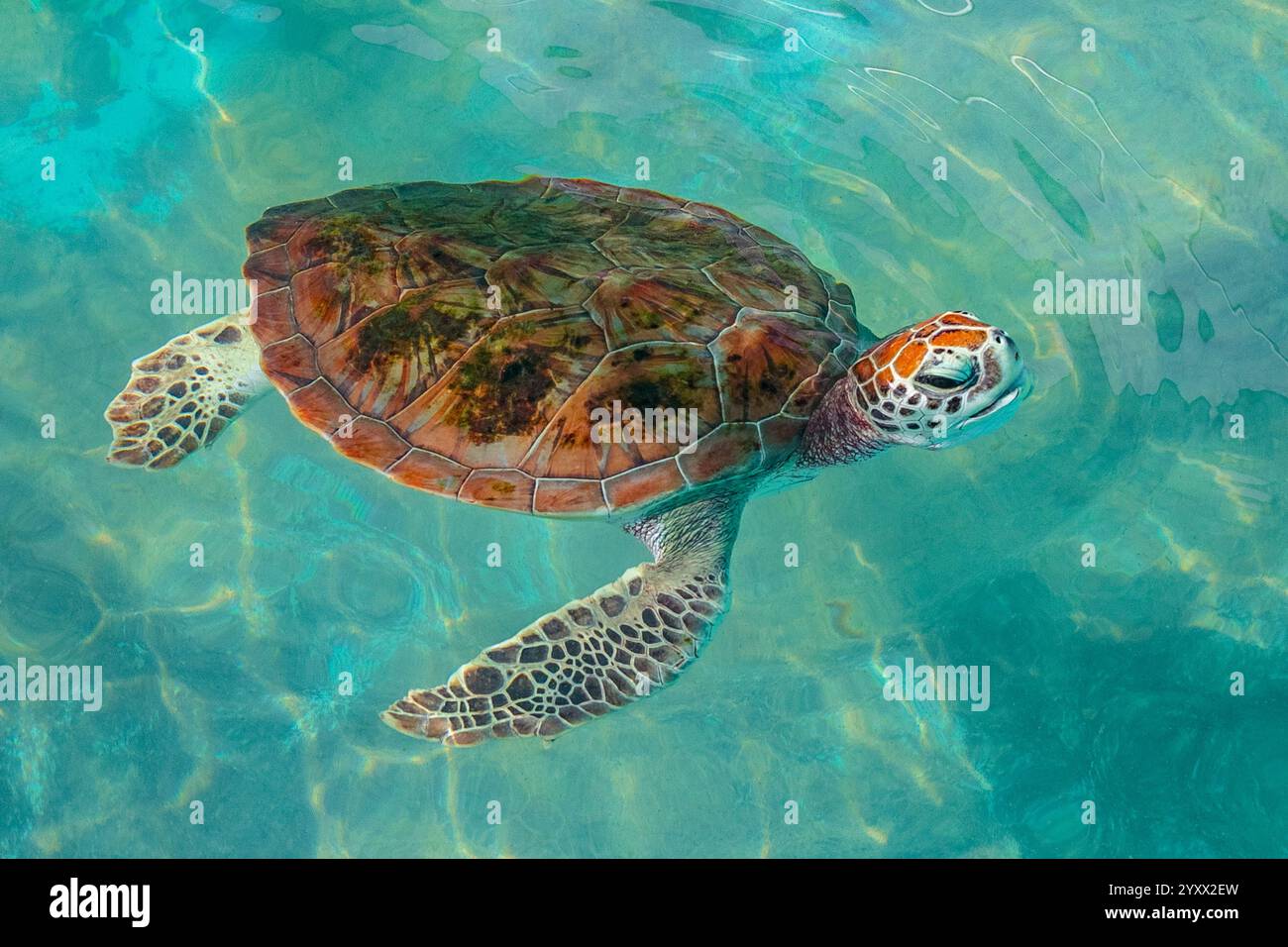 Bahia de mujeres isla mujerres caribbean sea mexico hi-res stock ...
