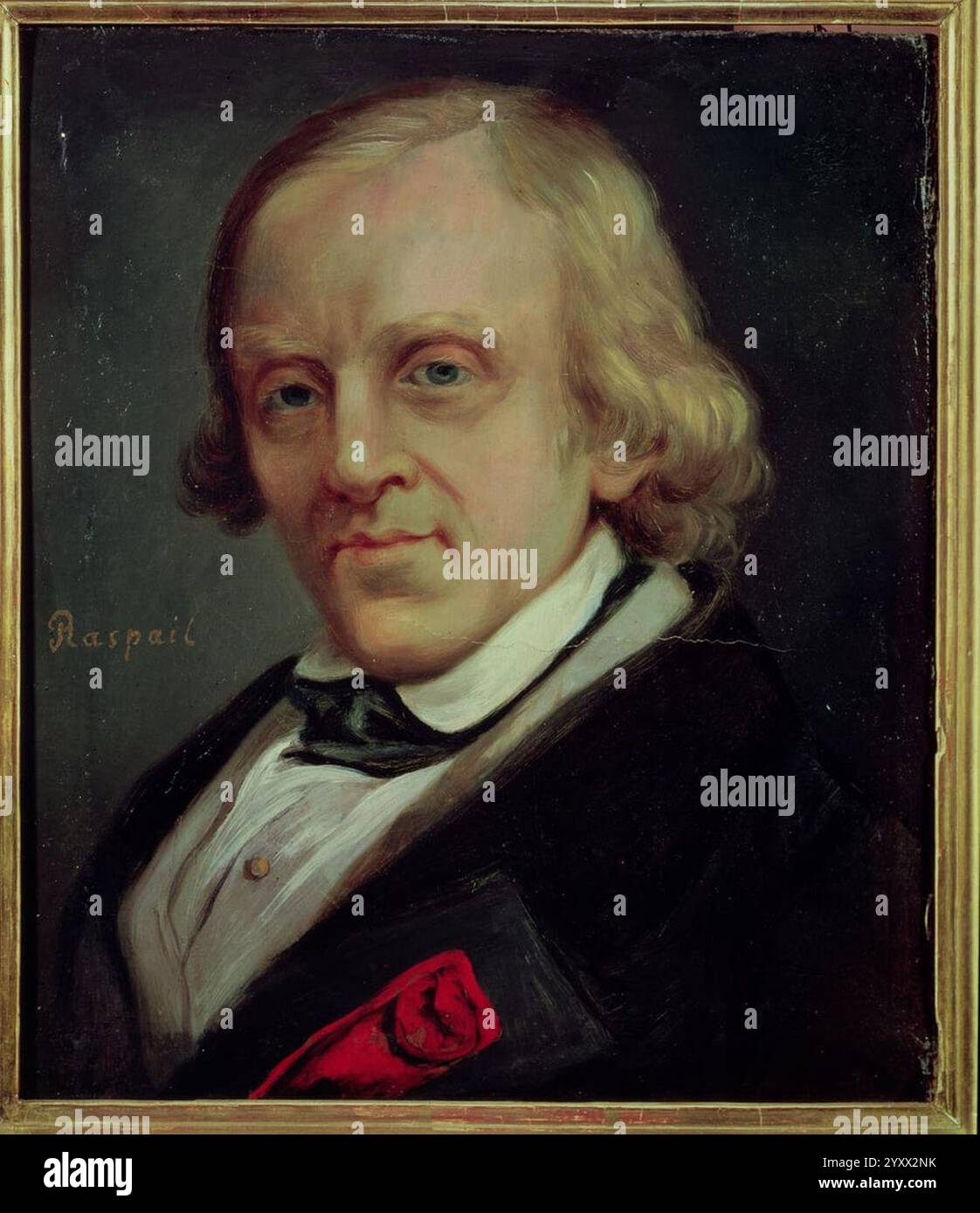 Raspail francois vincent hi-res stock photography and images - Alamy
