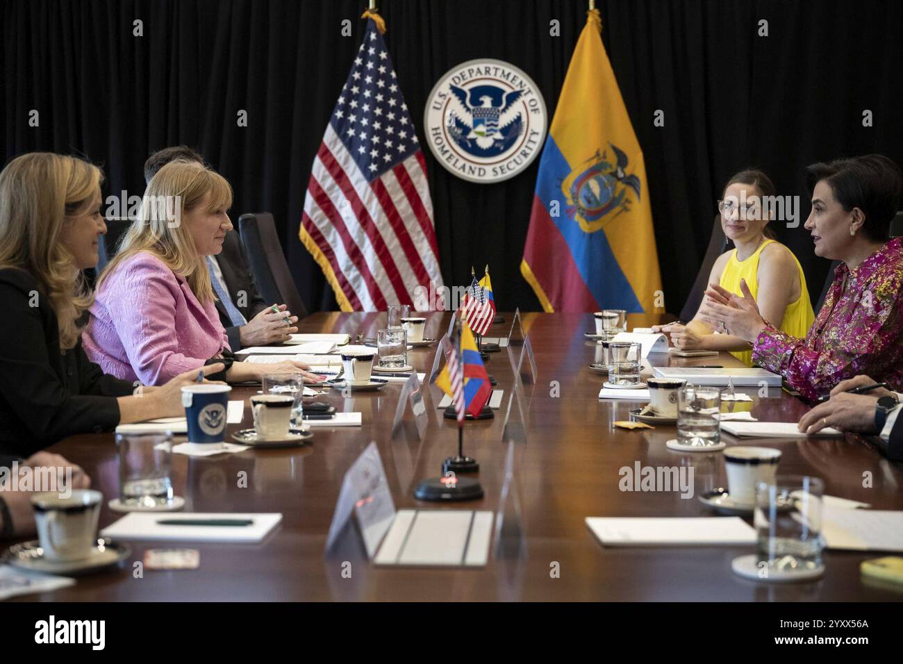 Department of Homeland Security (DHS), Senior Official Performing the ...