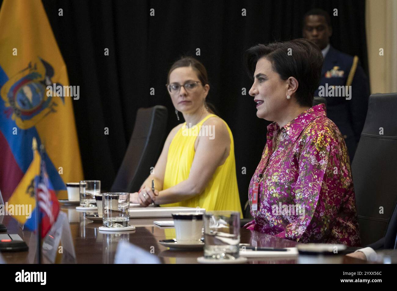 Department of Homeland Security (DHS), Senior Official Performing the ...