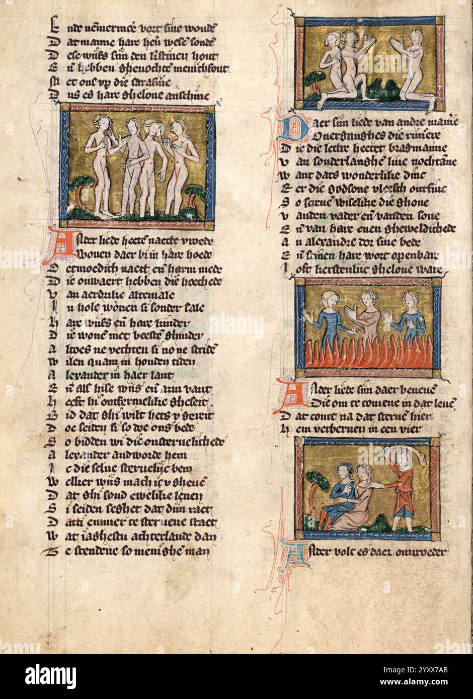 Der naturen bloeme - Jacob van Maerlant - KB KA 16 - 040v Stock Photo ...