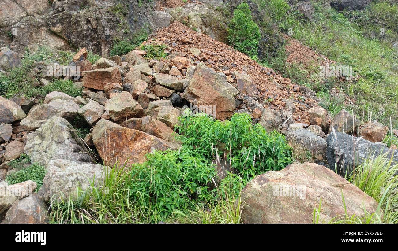 Landslide on a hill with natural background. Rocks scattered on the ...