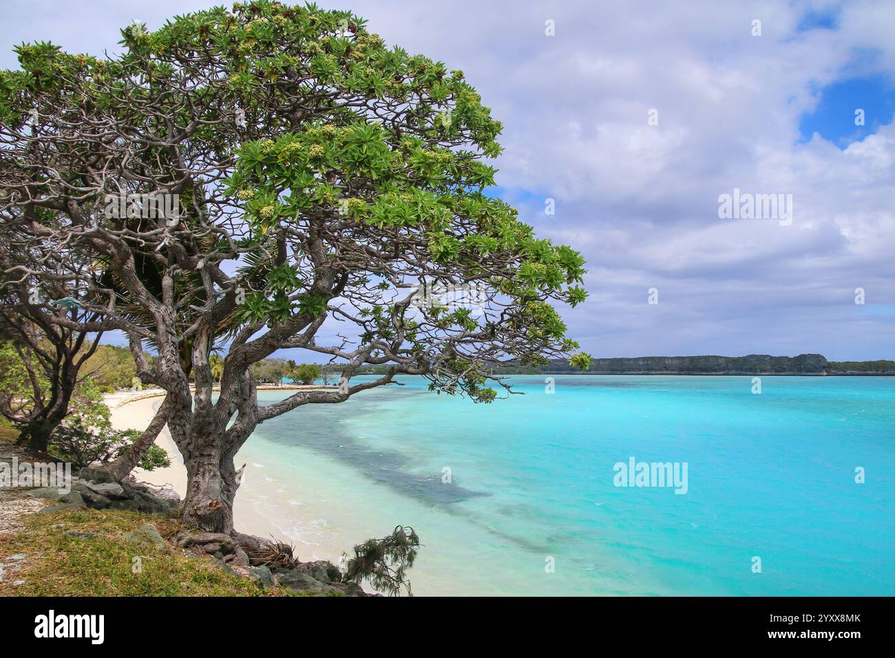 Uvea island hi-res stock photography and images - Alamy