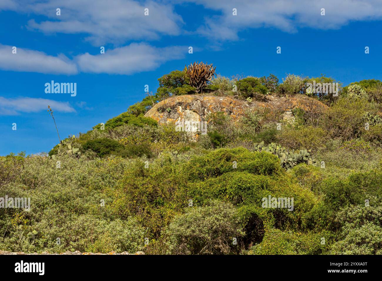 Yagul archaeological site and valley. Oaxaca, Mexico Stock Photo - Alamy