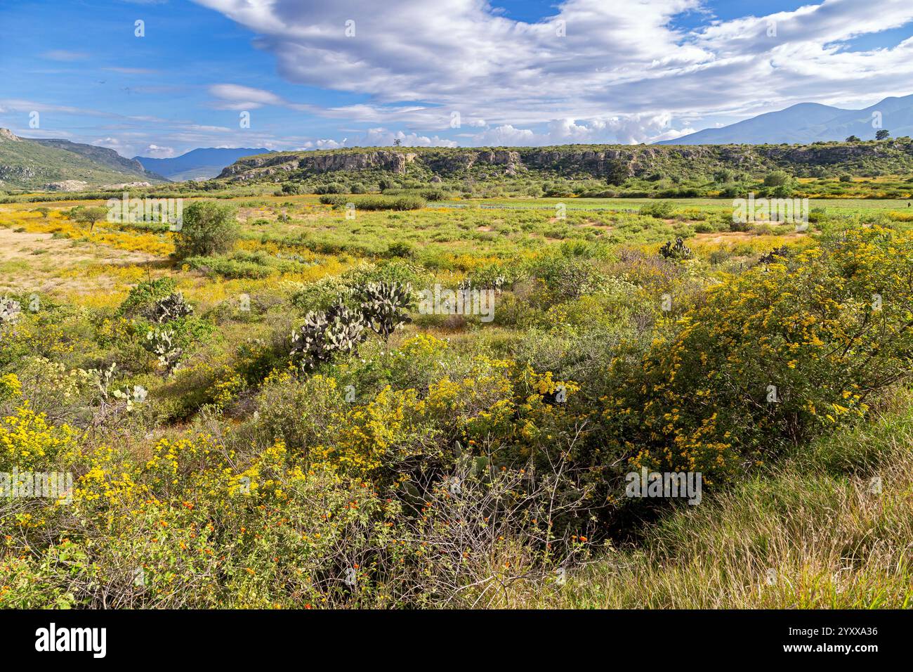 Yagul archaeological site and valley. Oaxaca, Mexico Stock Photo - Alamy