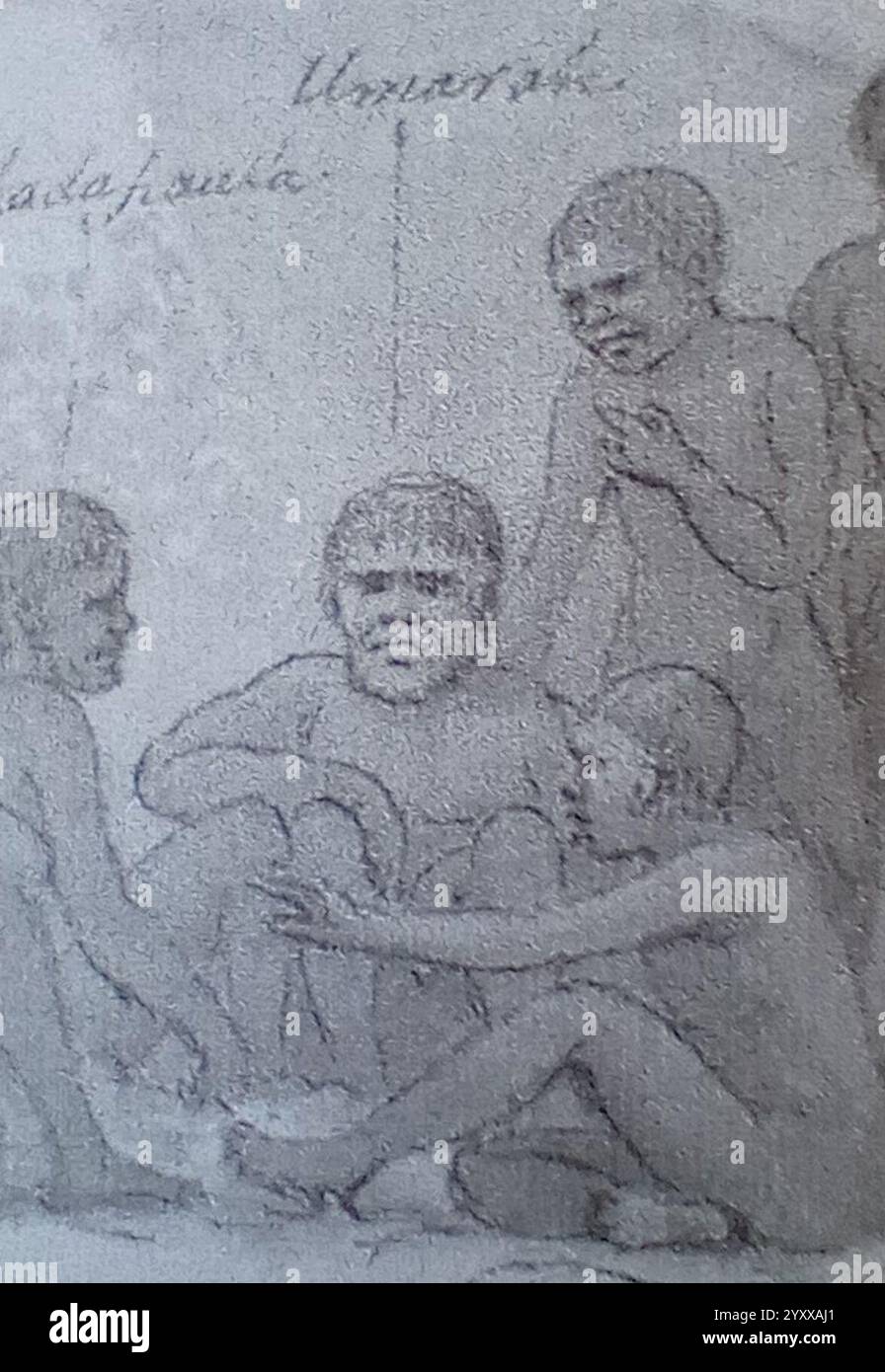 Detail of a sketch by John Glover showing Eumarrah and other Indigenous ...