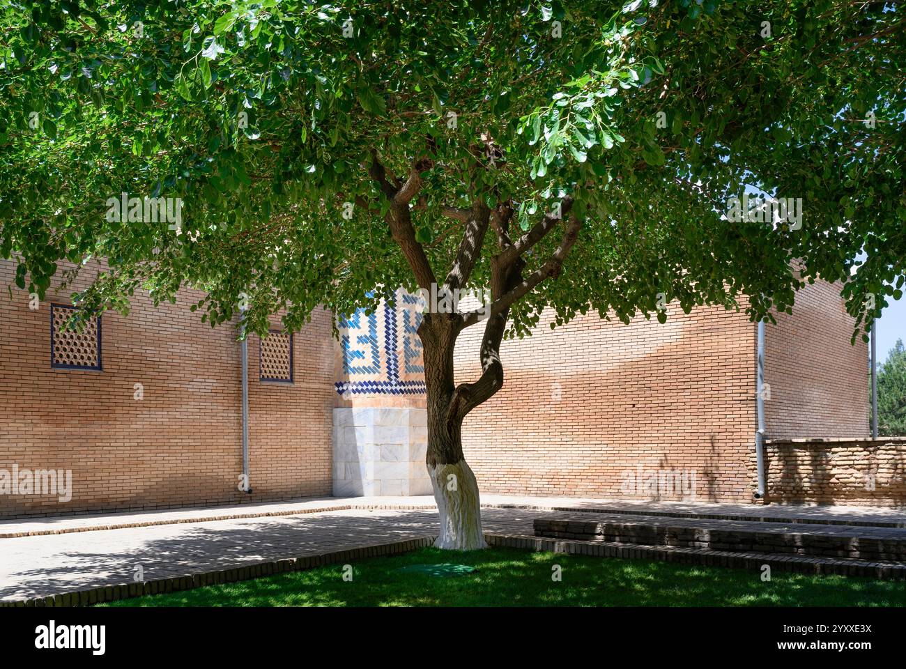A shady tree in the courtyard of the mosque at Tillya-Kari Madrasah in ...