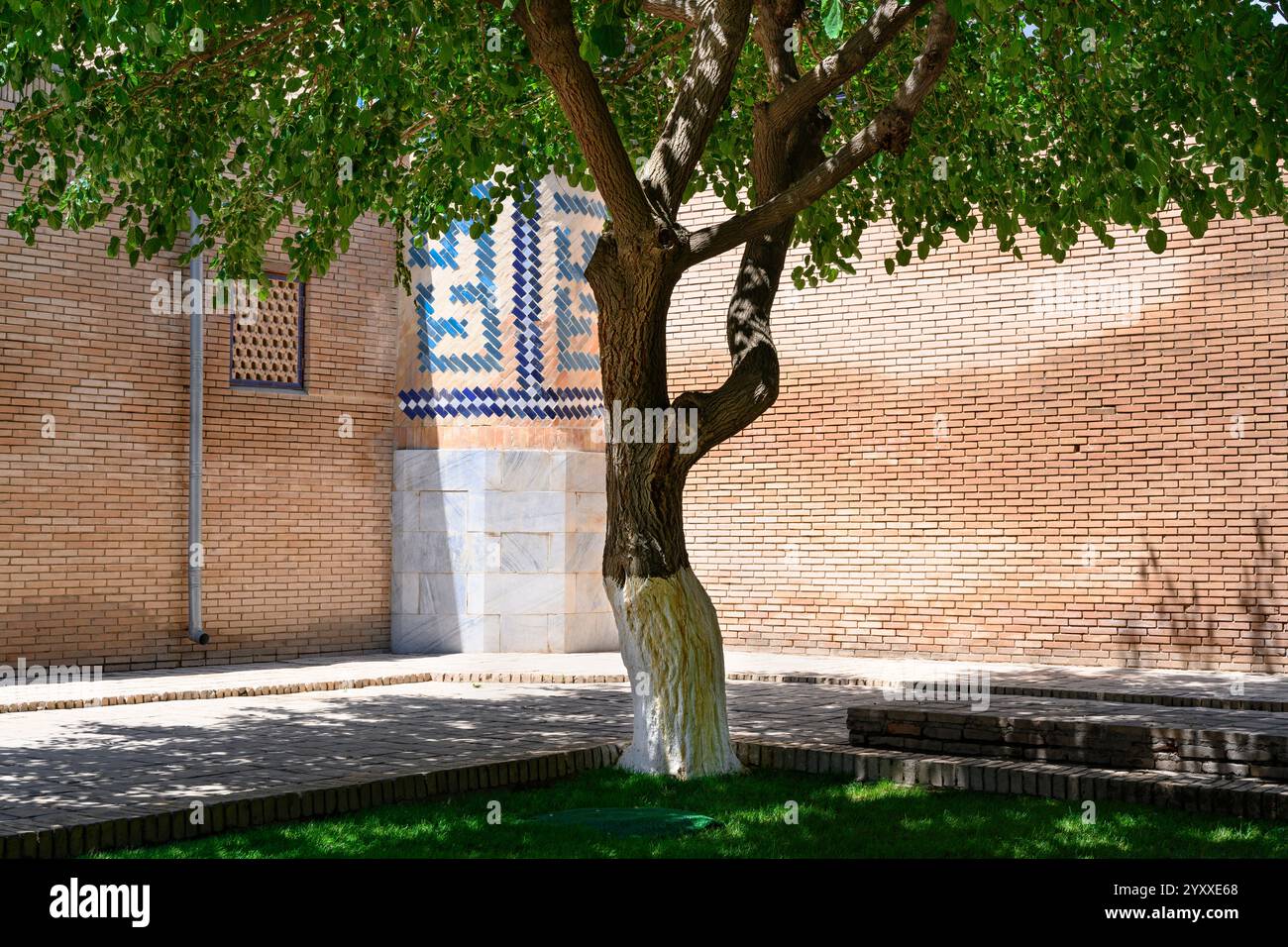 A shady tree in the courtyard of the mosque at Tillya-Kari Madrasah in ...