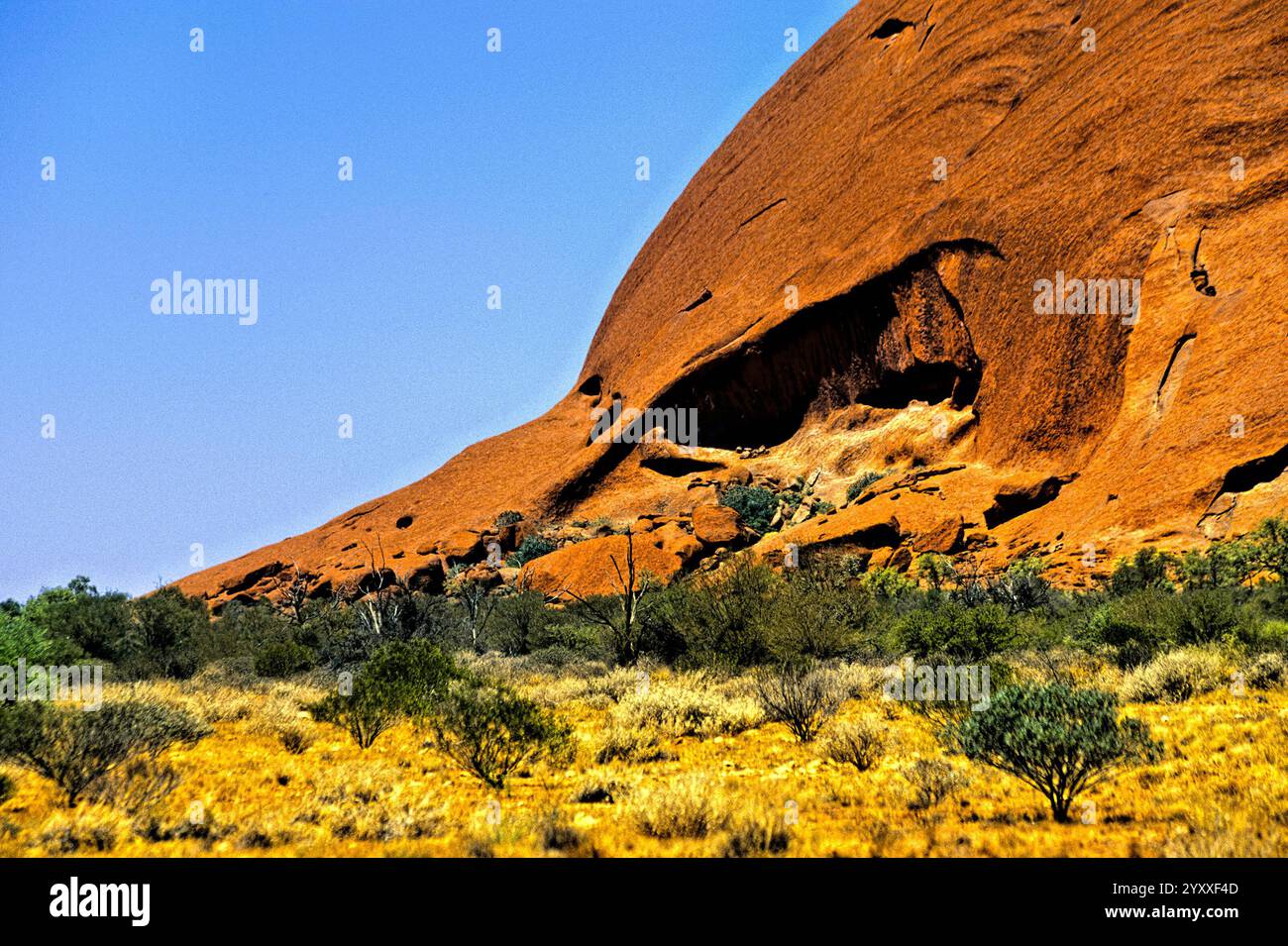 Detail of Uluru ( ayers rock ), Northern Territory, Australia Stock Photo - Alamy