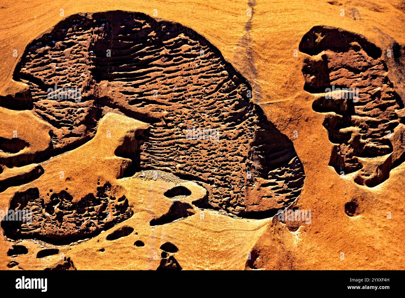 Detail of the Brain on Uluru ( ayers rock ), Northern Territory ...