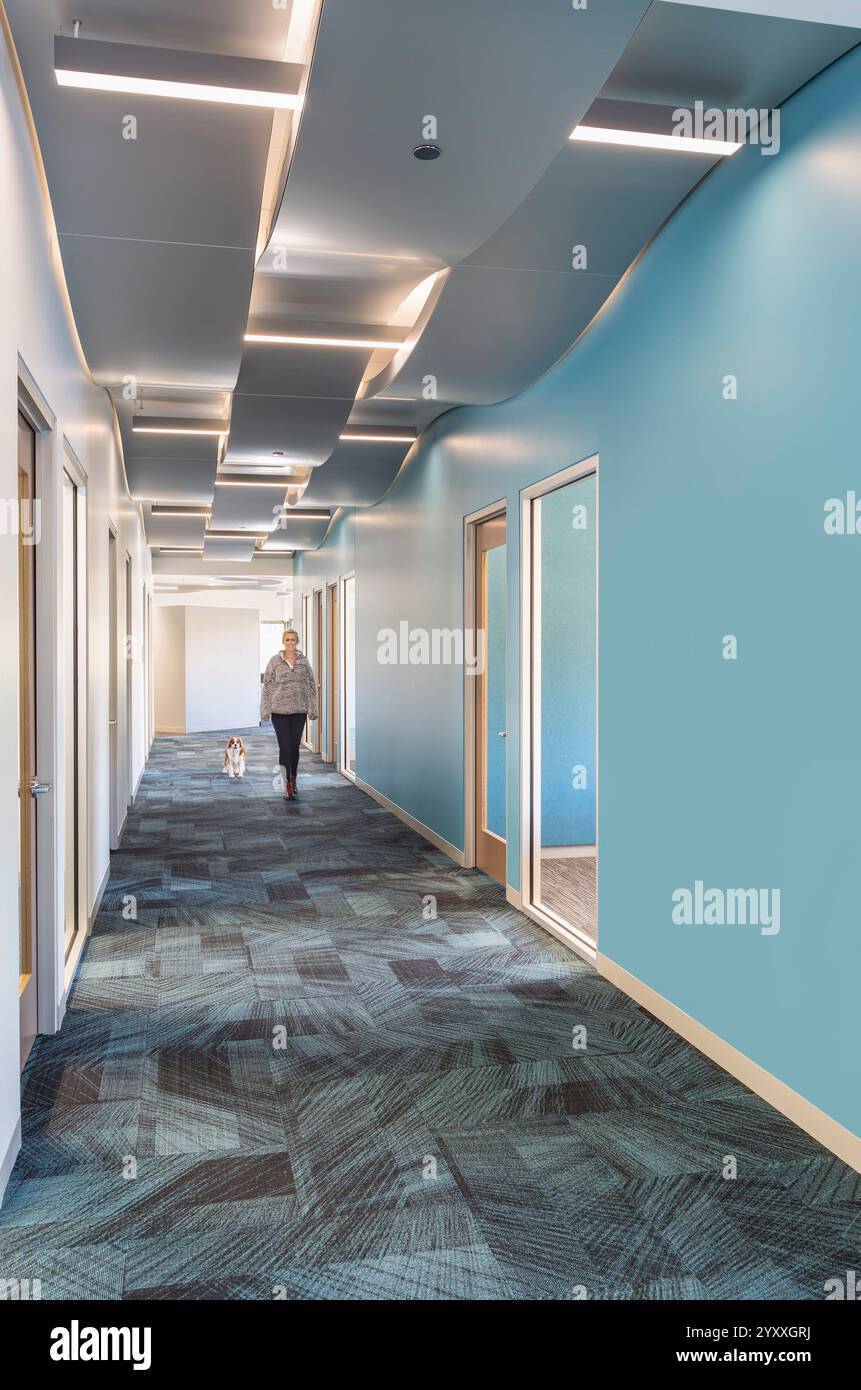 Woman and dog walking down colorful office space hallway with silver ...