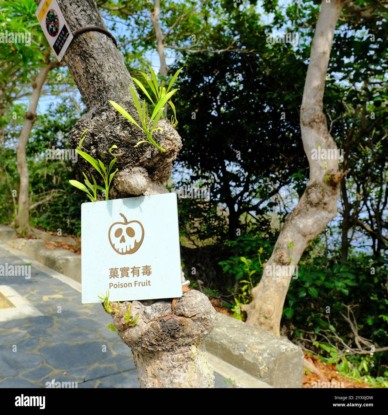 Sign with stylized fruit icon in the form of a skull warning people ...