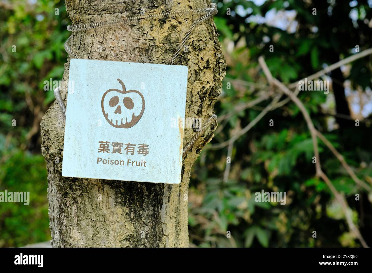 Sign with stylized fruit icon in the form of a skull warning people ...