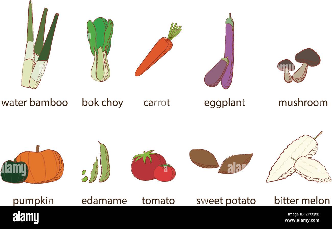 Melon vegetables Stock Vector Images - Alamy