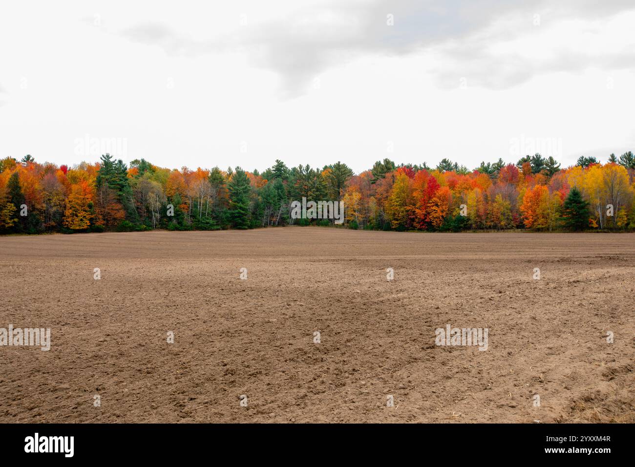 Colorful Wisconsin forest and farmland in October, horizontal Stock ...