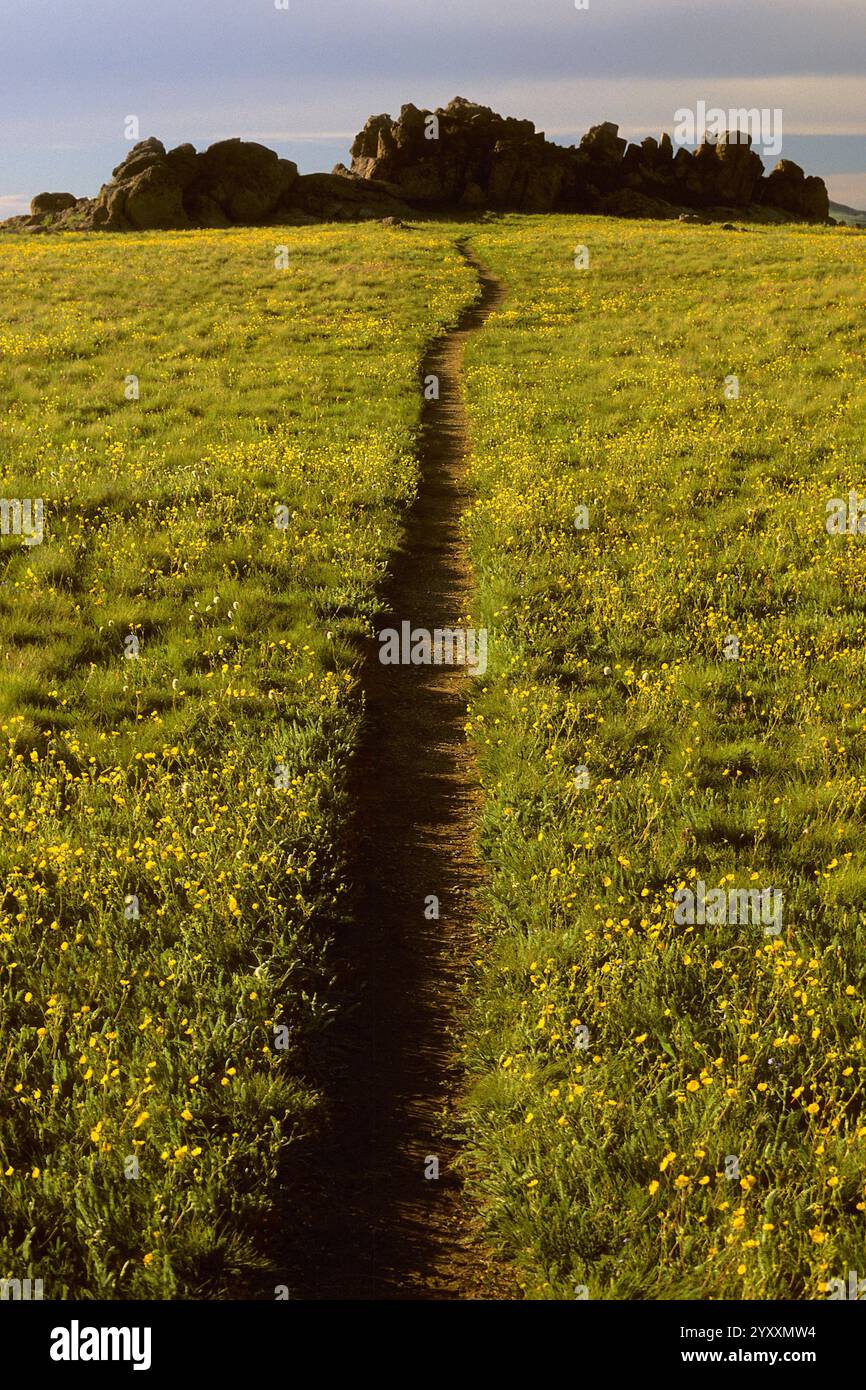 Path journey hi-res stock photography and images - Alamy