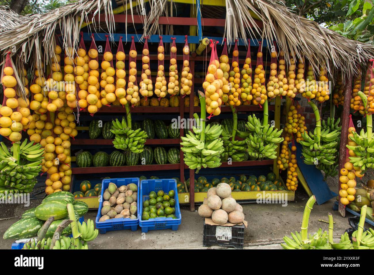 Roadside fruit stand with a variety of tropical fruits. Photographed on ...