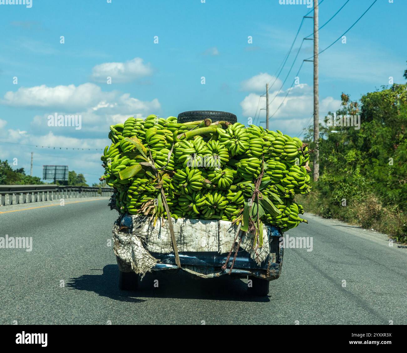 Overloaded banana truck on the highway. Photographed near Bani ...