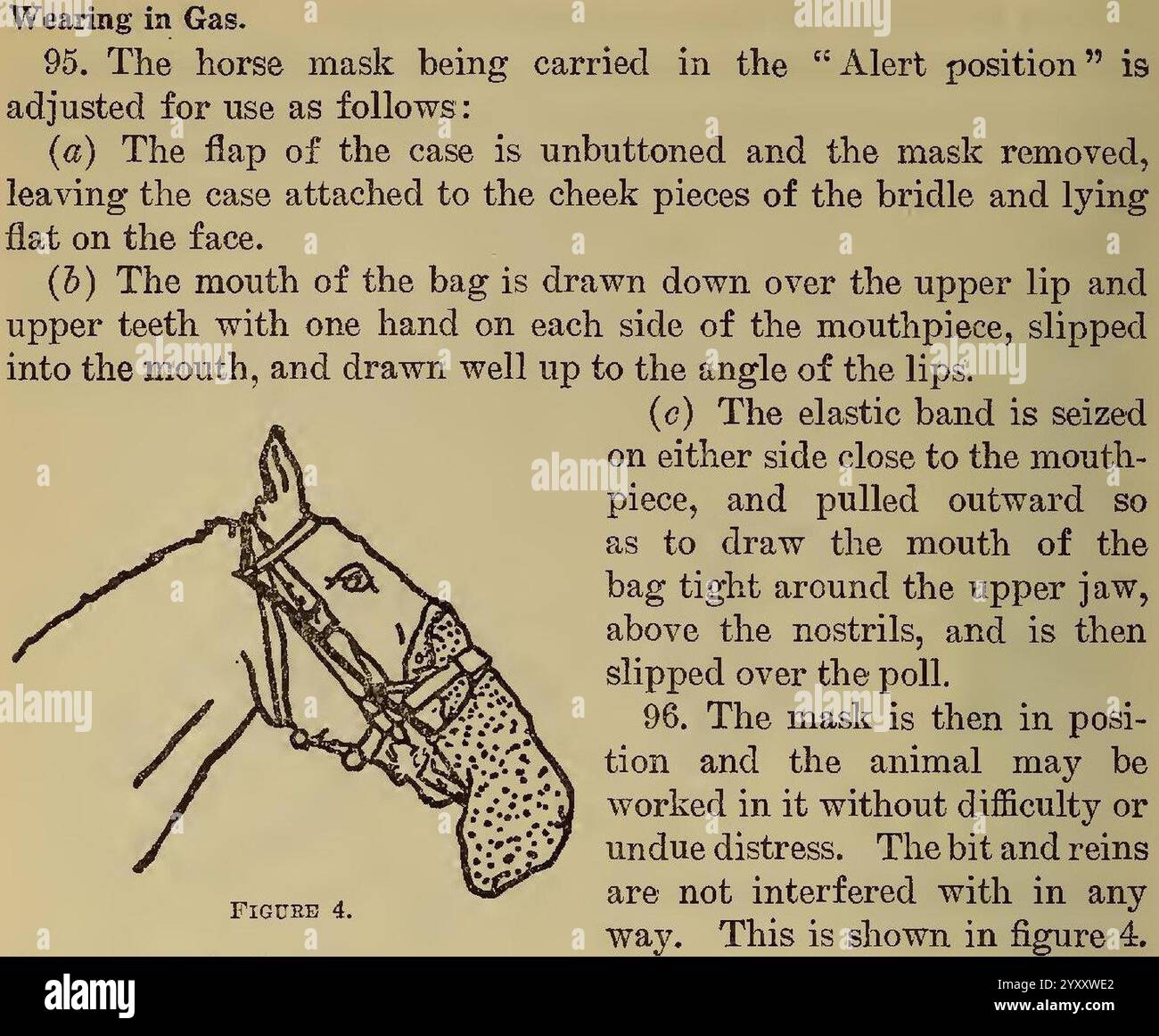 ''The horse mask'' (gas mask for U.S. Army horses) in 1920, from ...