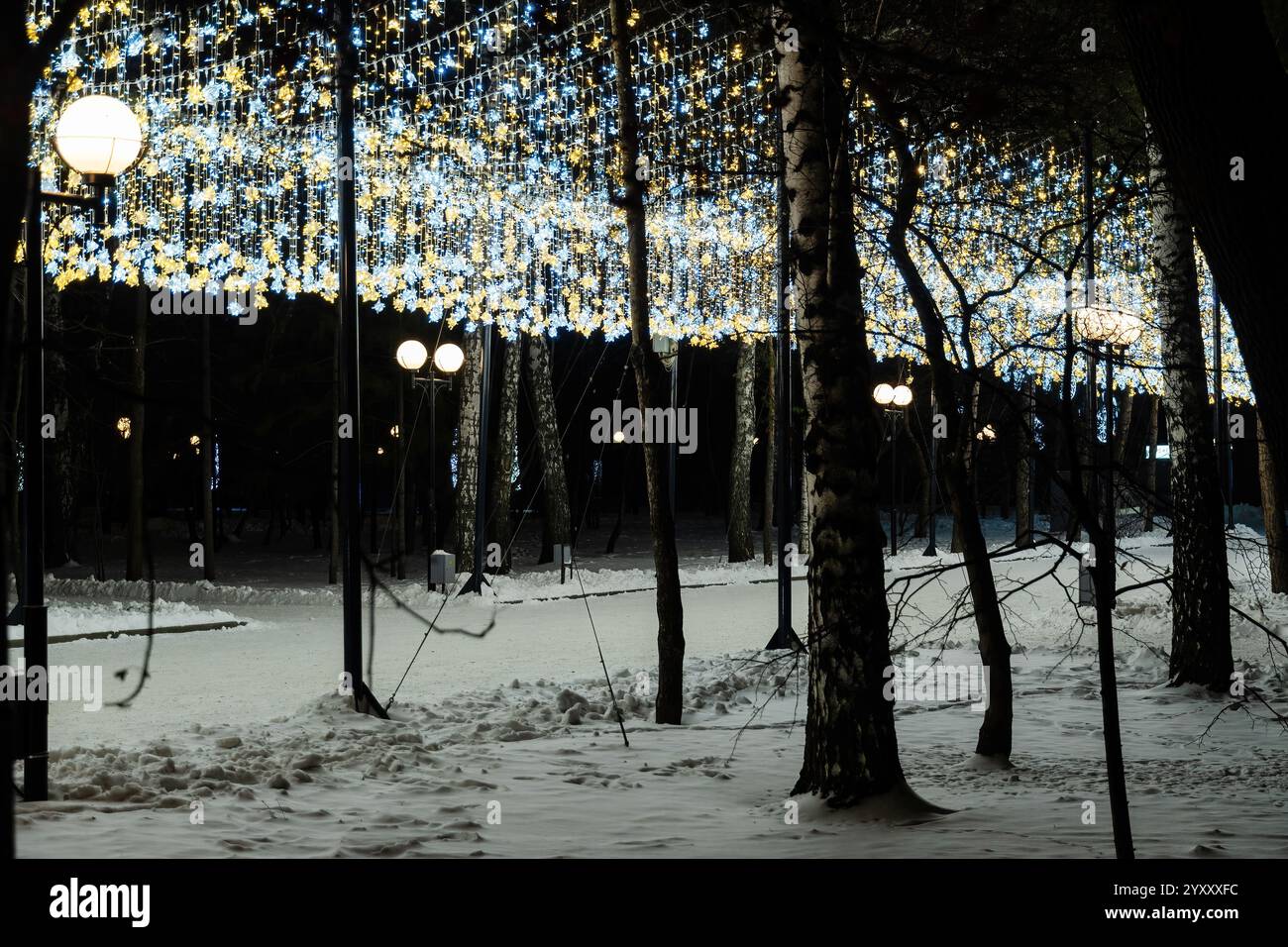 Snow-covered Christmas park path is illuminated by warm lights hanging ...