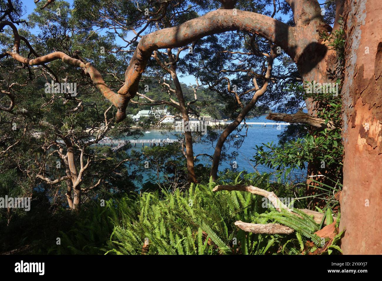Glimpse of the Sydney Institute of Marine Science and Chowder Bay ...