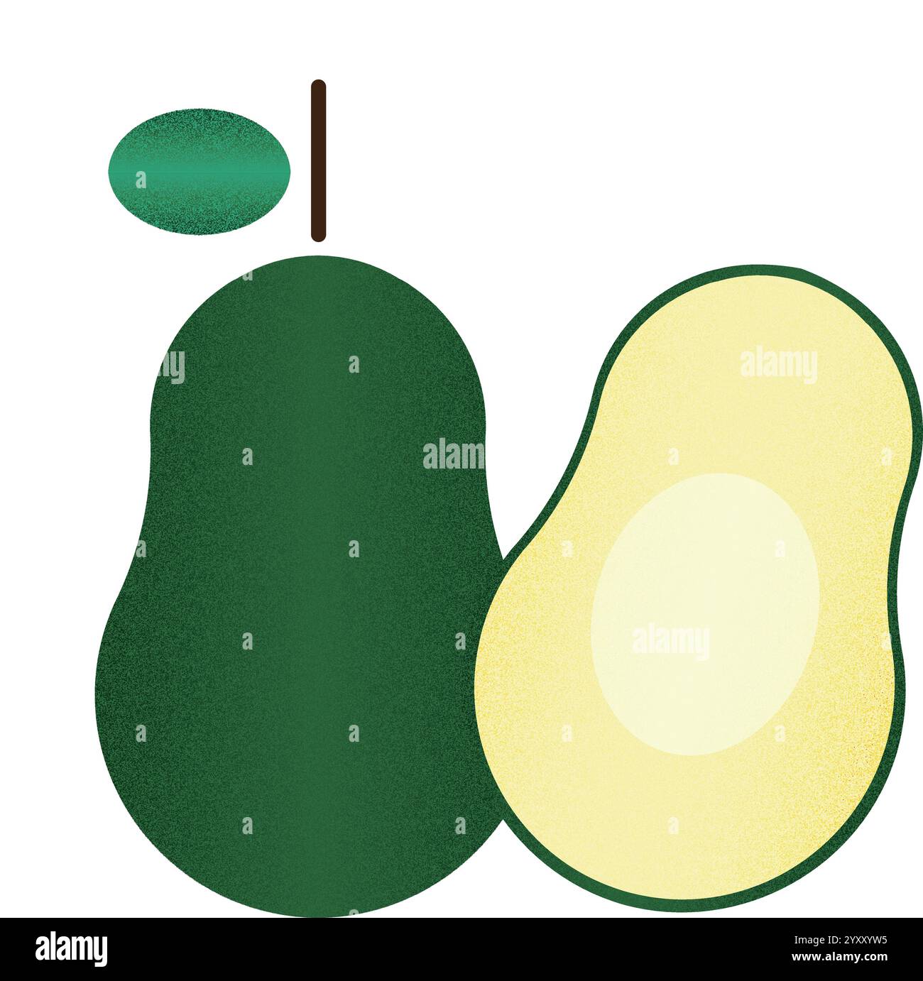 Vector fruit Avocado cartoon vector illustration isolated object Stock ...
