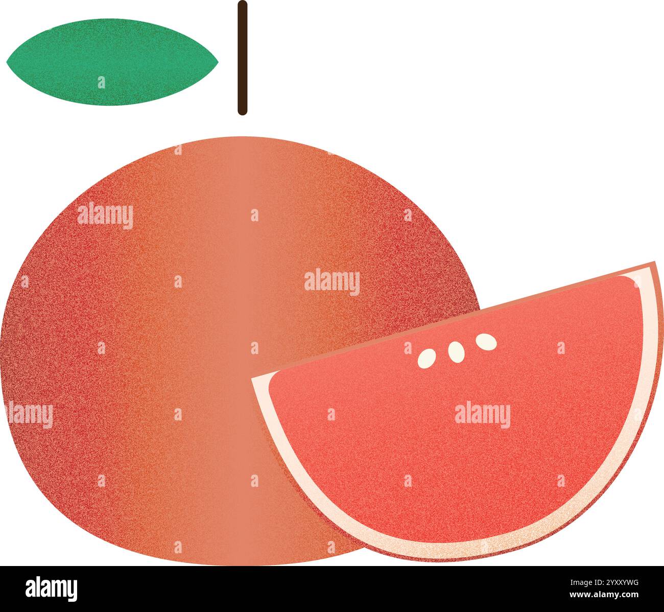 Vector fruit Red Grapefruit cartoon vector illustration isolated object ...