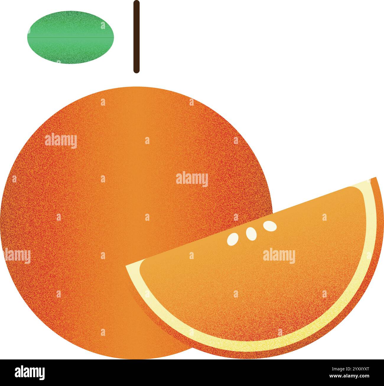 Vector fruit orange cartoon vector illustration isolated object Stock ...