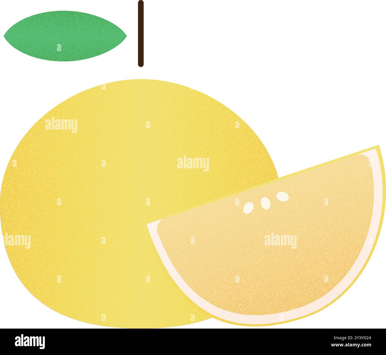 Vector fruit white Grapefruit cartoon vector illustration isolated ...