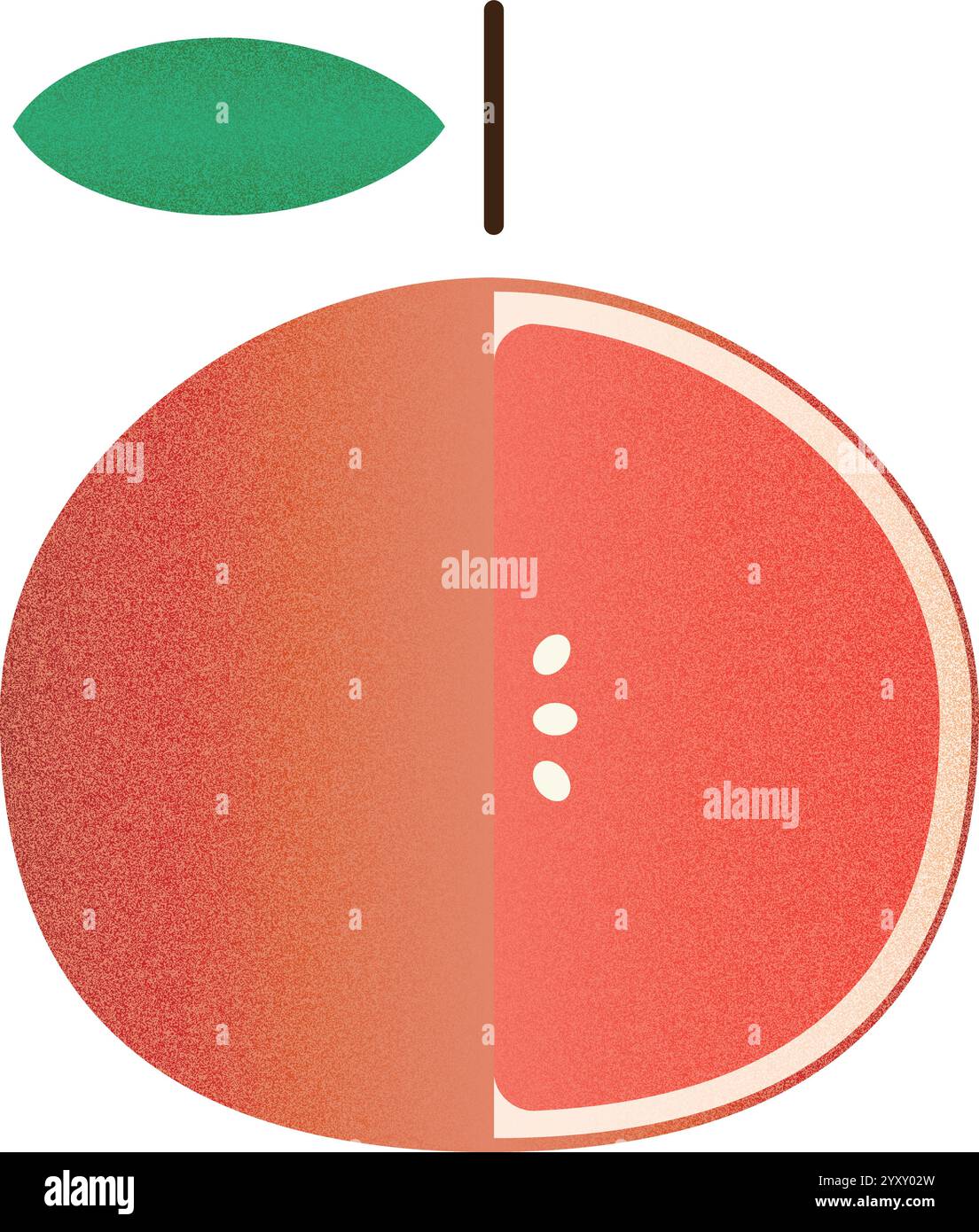 Vector fruit helf Red Grapefruit cartoon vector illustration isolated ...
