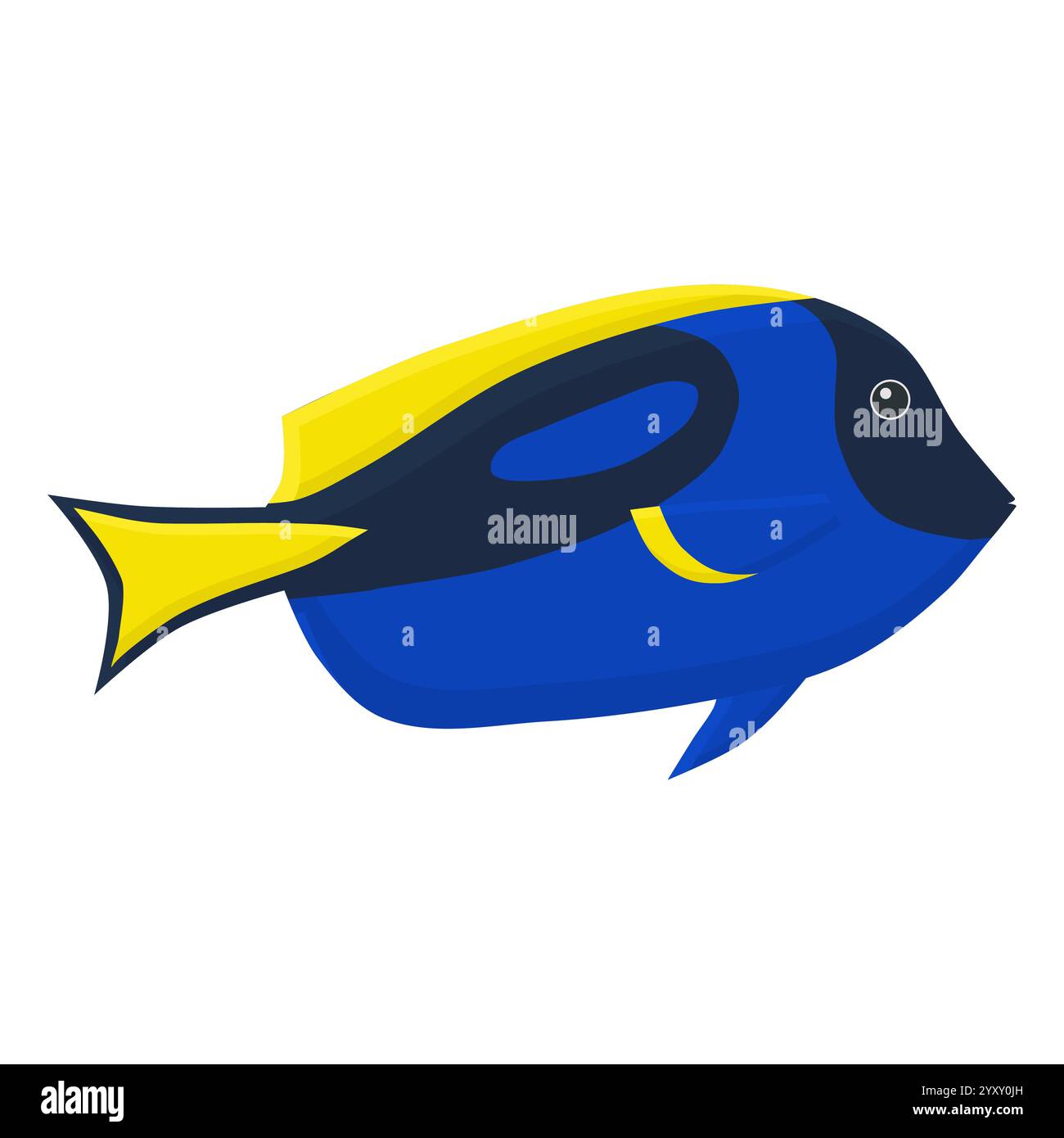 Blue Tang Fish Underwater Wild Animal Vector. Cute Blue Tang Fish ...