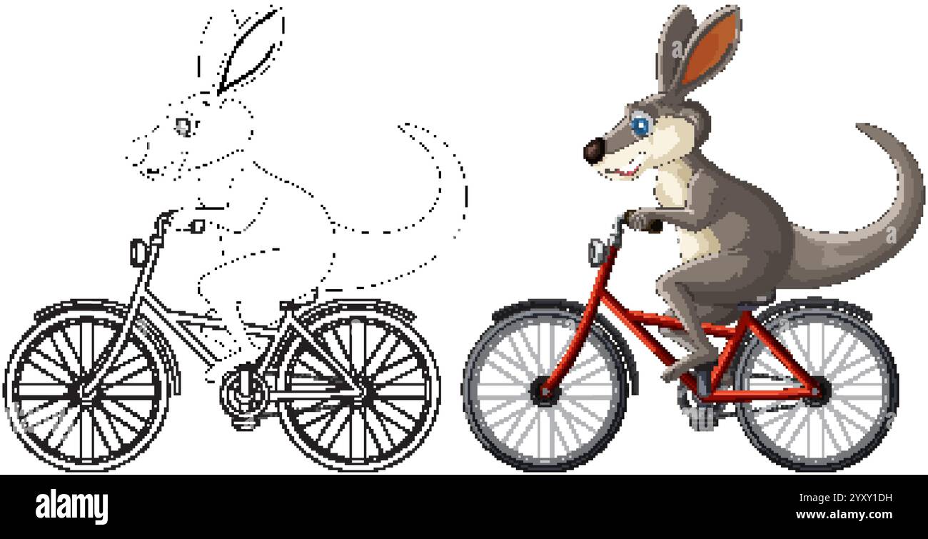 A joyful kangaroo cycling on a red bike Stock Vector Image & Art - Alamy