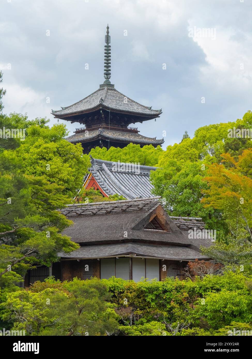 Goju-no-To (Five Storey Pagoda) of Ninna Ji Temple. This temple is a ...