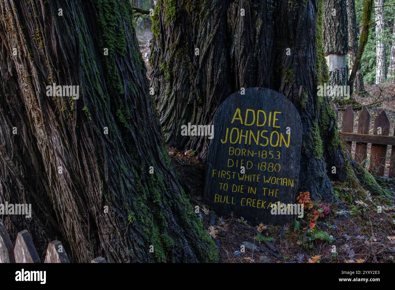 The grave and burial site of Addie Johnson, a pioneer and first woman to die in the Bull Creek ...