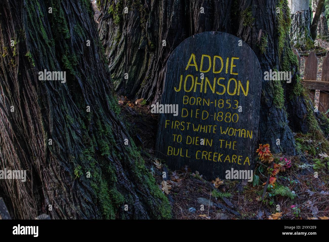 The grave and burial site of Addie Johnson, a pioneer and first woman ...
