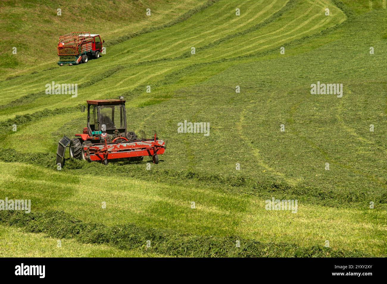 Lawn care. Mowing lawn. Tractor. Grass clippers. Grass Background. Lawn ...
