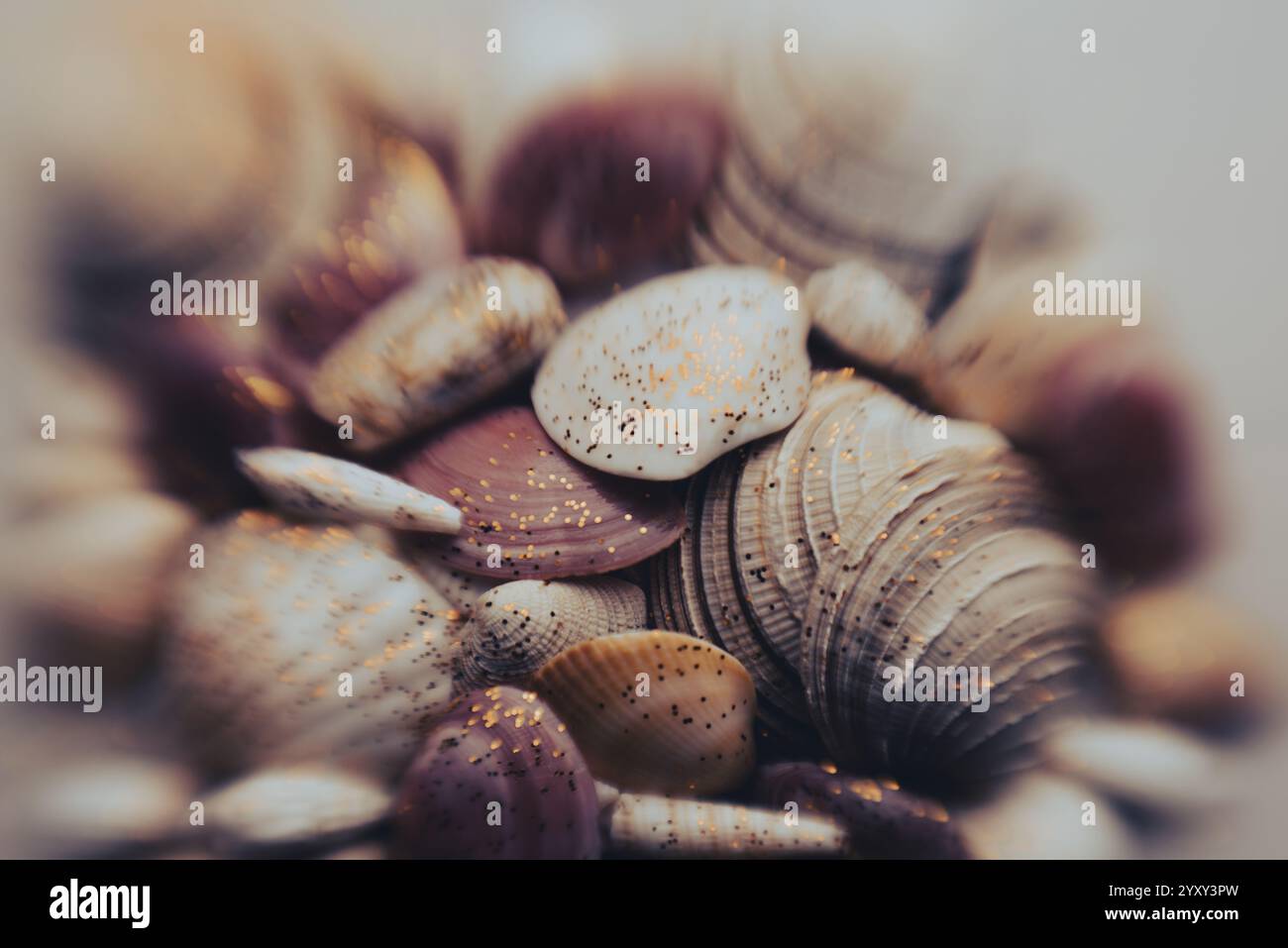 Sea shells pattern. Seashell background. Sea shells collection. Marine ...