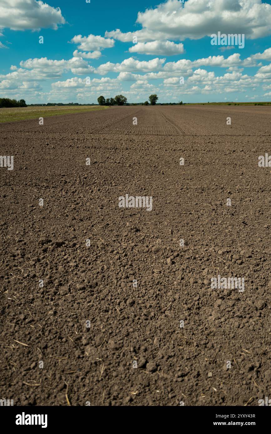 Soil texture background for gardening. Organic gardening. Agriculture ...