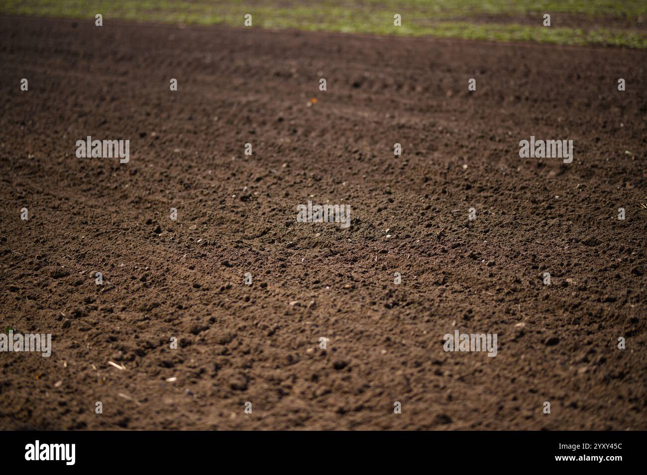 Soil texture background for gardening. Soil as background. Organic ...